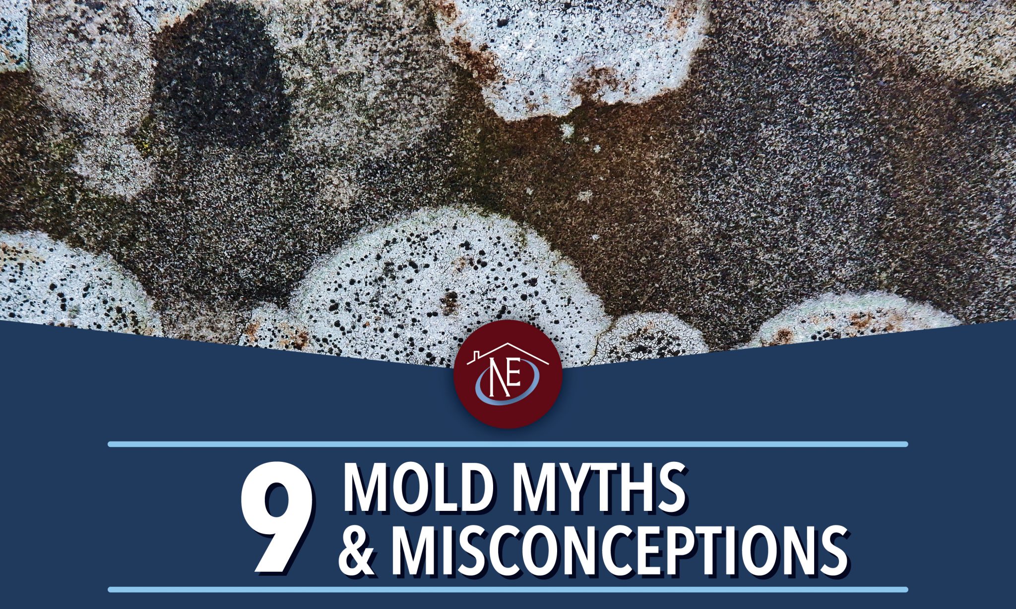 9 Mold Myths & Misconceptions | Northeast Property Restoration