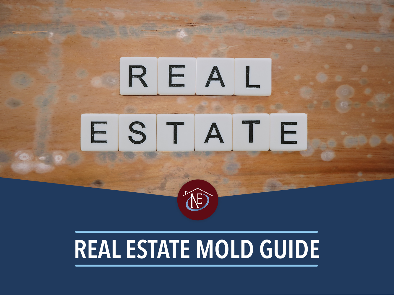 Real Estate Mold Guide | Northeast Property Restoration